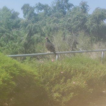 RIVER WALK PARK - Updated May 2025 - 148 Photos & 59 Reviews - 7674 ...