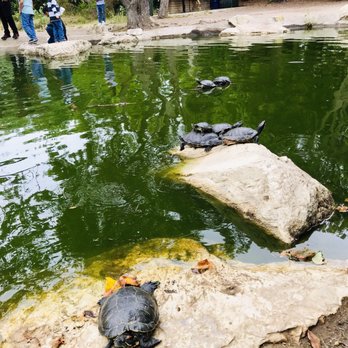 HOPKINS WILDERNESS PARK - Updated January 2026 - 262 Photos & 104 ...