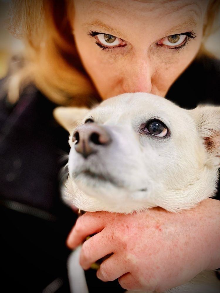 S MARK TAPER FOUNDATION IMAGING CENTER - CEDAR SINAI - Updated January ...