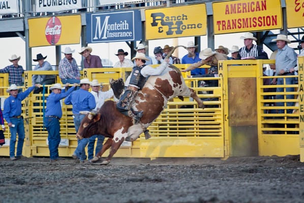 BENTON FRANKLIN FAIR & RODEO - Updated October 2025 - 10 Photos - 1500 ...