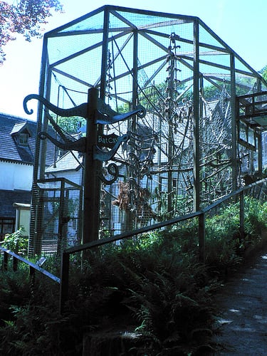 THE MONKEY SANCTUARY TRUST - Updated October 2024 - Looe, Cornwall ...