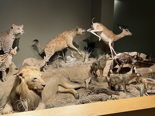 OAKES MUSEUM OF NATURAL HISTORY - Updated October 2025 - 50 Photos - 1 ...
