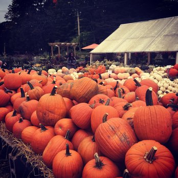 ALLANDALE FARM - Updated October 2024 - 105 Photos & 69 Reviews - 259 ...