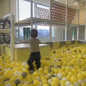 MOMI LAND - 136 Photos & 31 Reviews - 704 Radio Dr, Lewis Center, Ohio ...