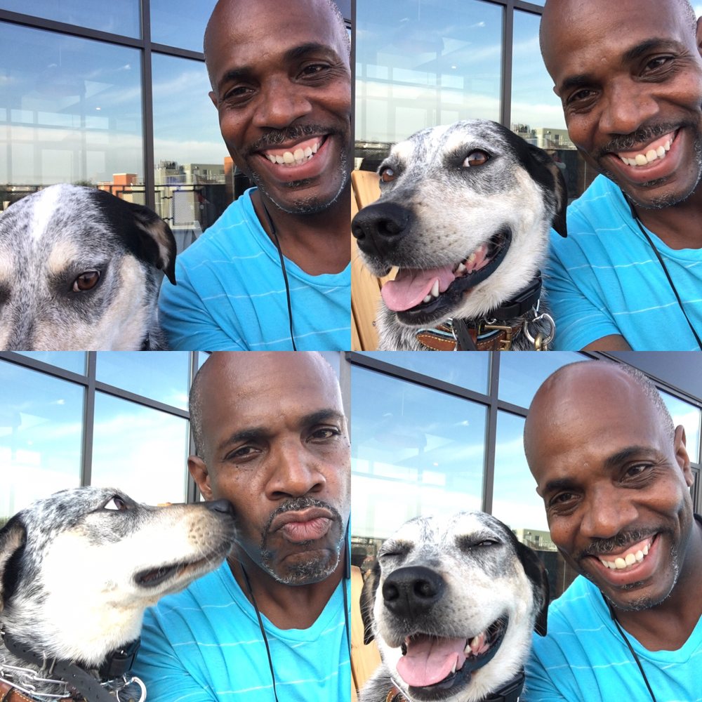 MICHAEL JACKSON DOG TRAINING - Updated June 2024 - 13 Photos - 995 ...