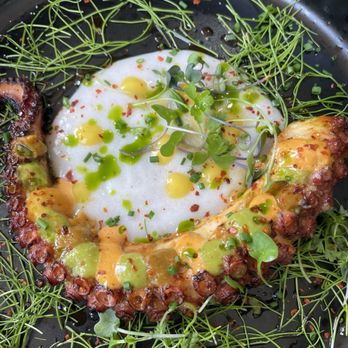 OCTOPUS BAJA - Updated May 2024 - 55 Photos & 32 Reviews - 2731 K St ...