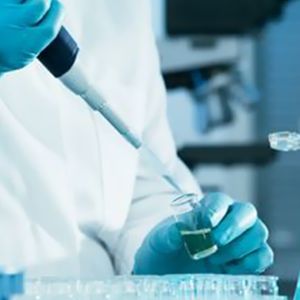 HEALTH FIRST MEDICAL GROUP - IMAGING SERVICES - Updated May 2025 - 1223 ...