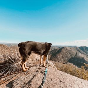 SUPERIOR COURT - NORTH COUNTY - Updated December 2025 - 54 Photos & 98 ...