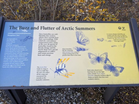 Campgrounds - GALBRAITH LAKE CAMPGROUND - 13 Photos - AK, Alaska - Yelp