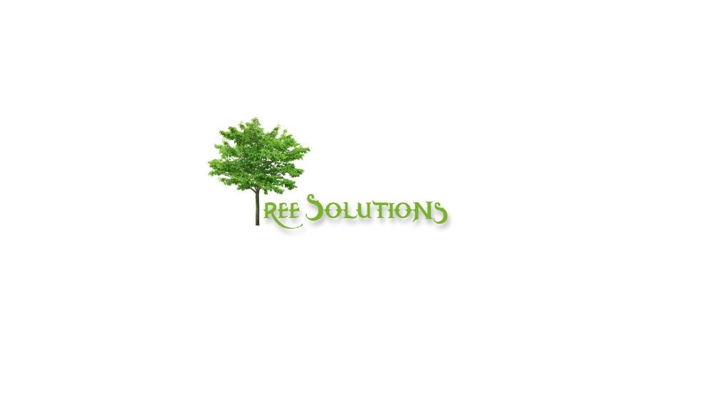 TREE SOLUTIONS - Updated December 2024 - Request a Quote - Charlotte ...