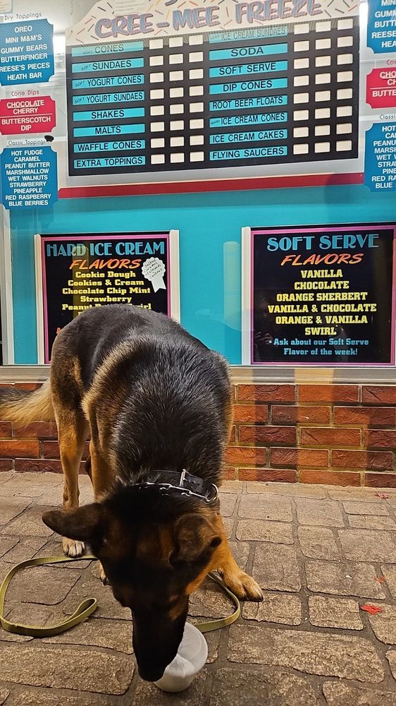 JAKE’S CREE-MEE FREEZE - Updated August 2025 - 29 Photos & 49 Reviews ...