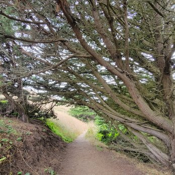 POINT REYES NATIONAL SEASHORE - Updated December 2025 - 1676 Photos ...