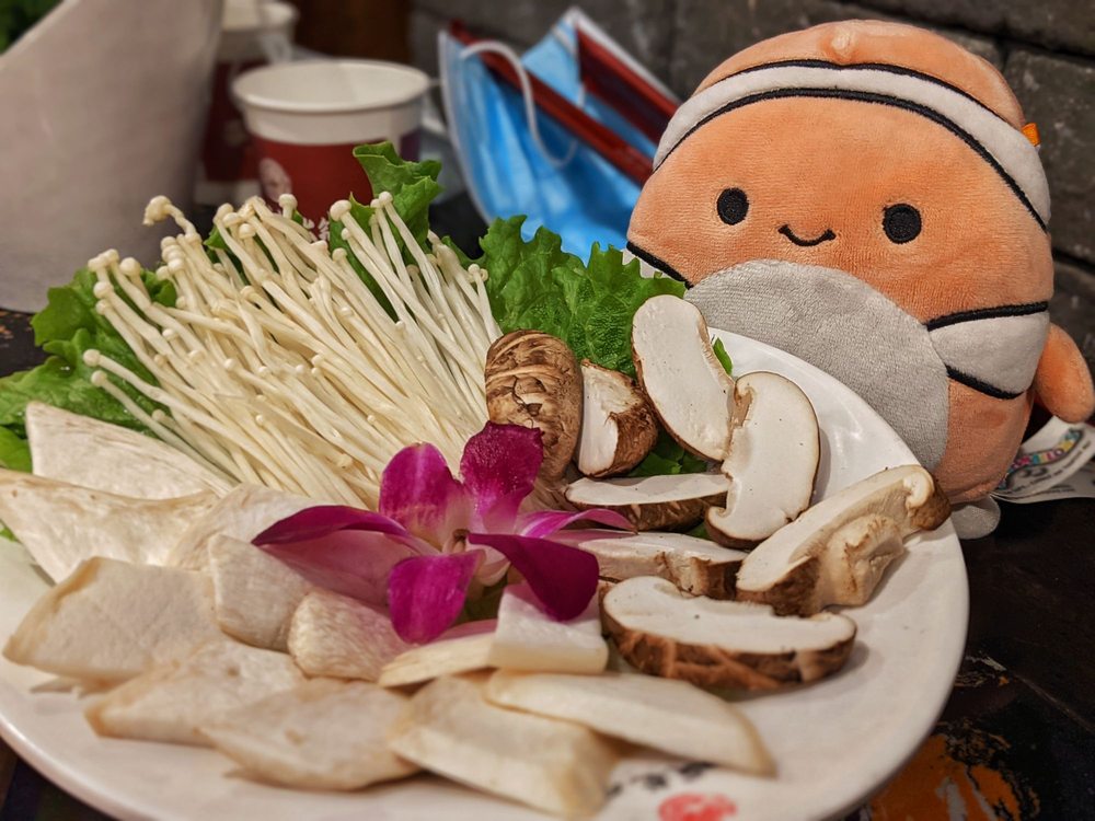 CHENGDU MEMORY - 1195 Photos & 482 Reviews - 520 S Jackson St, Seattle ...