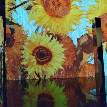 PIER 36 NYC - Updated November 2025 - 214 Photos & 54 Reviews - 299 ...