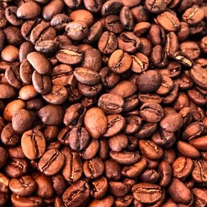 THE SHAGGY SHEEP - Updated December 2025 - 172 Photos & 220 Reviews ...