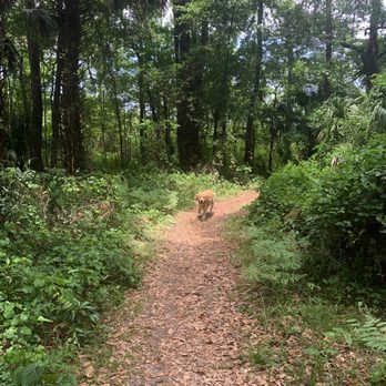 BIVENS ARM NATURE - Updated December 2025 - 44 Photos - 3650 S Main St ...