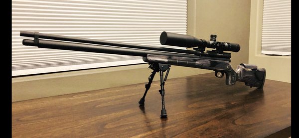 AIRGUNS OF ARIZONA - Updated September 2024 - 15 Photos & 45 Reviews ...