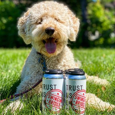 SWINGING BRIDGE BREWING COMPANY - Updated July 2025 - 58 Photos & 39 ...