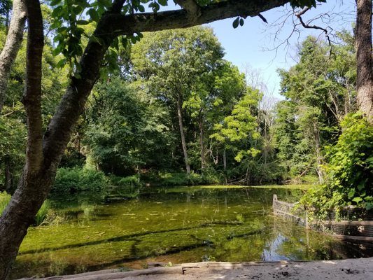 HOYT FARM PARK - 183 Photos & 28 Reviews - Parks - New Hwy, Commack, NY ...