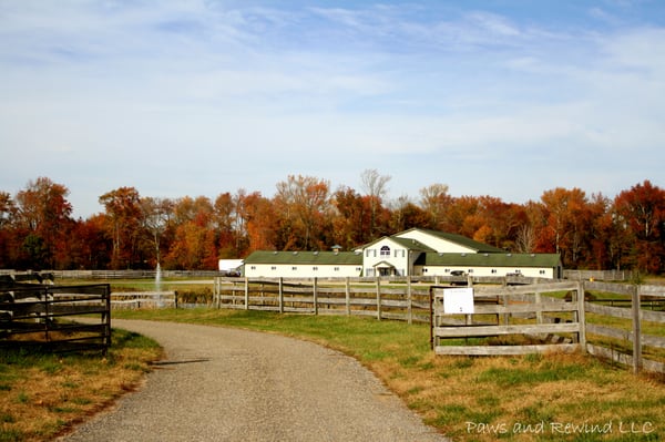SCENIC VIEW FARMS - Updated October 2025 - 281 Long Swamp Rd, New Egypt ...
