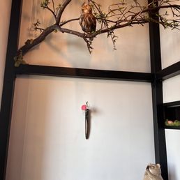 TORIDOKORO RAKU - Updated December 2025 - 1410 Photos & 183 Reviews ...