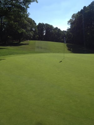 WALNUT LANE GOLF CLUB - Updated May 2025 - 11 Photos & 24 Reviews - 800 ...