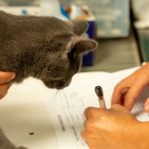 FRESNO HUMANE ANIMAL SERVICES - Updated June 2025 - 24 Photos & 14 ...