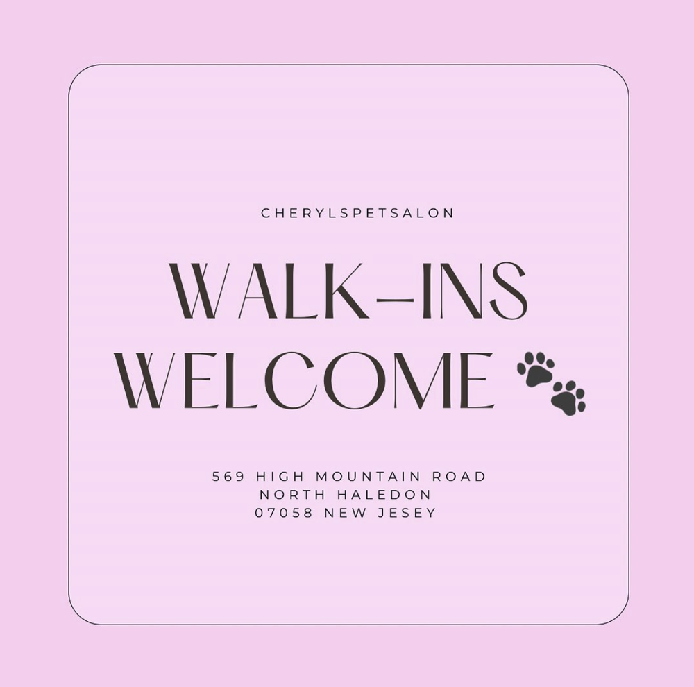 MELLOW PET GROOMING & SPA - Updated August 2025 - 35 Photos - 274 US 202, Bedminster, New Jersey ...