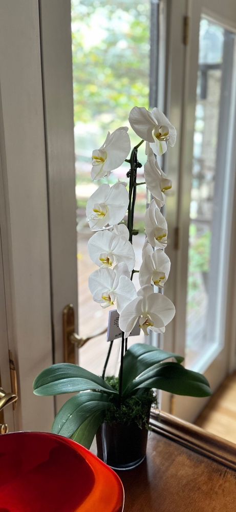 FLOWERAMA - Updated December 2025 - 46 Photos & 75 Reviews - 1600 Morse ...