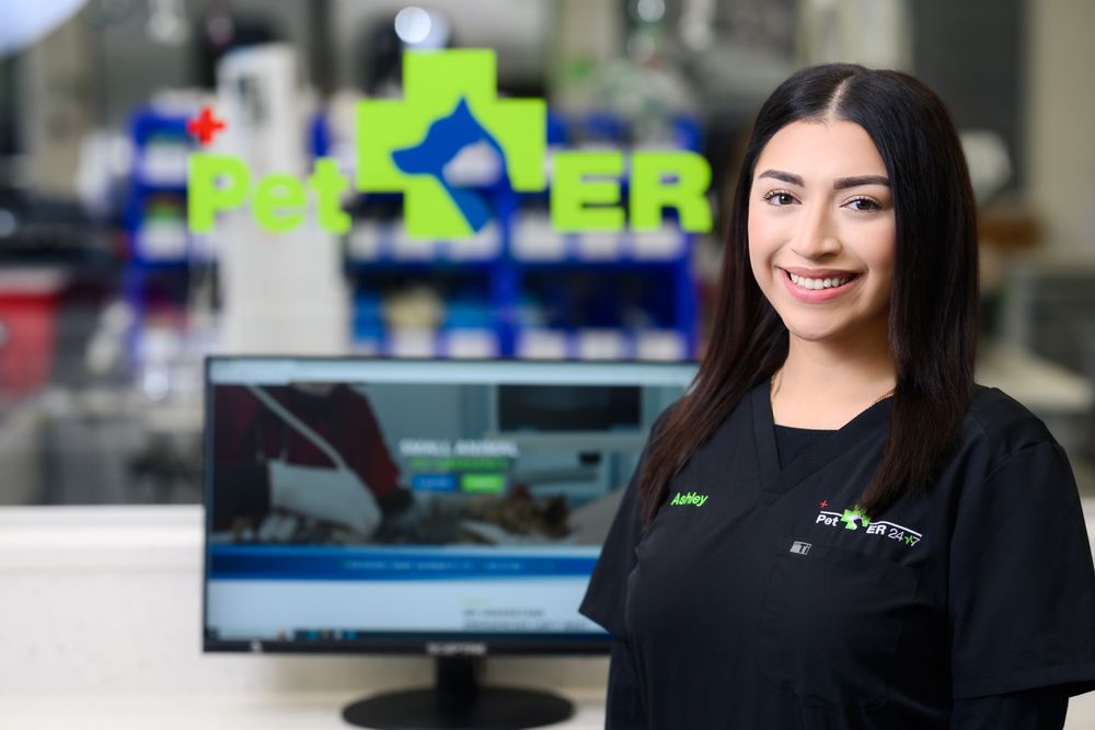 PET ER - Updated December 2025 - 45 Photos & 16 Reviews - 60 Ny-25a ...