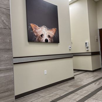 VCA WEST COAST SPECIALTY AND EMERGENCY ANIMAL HOSPITAL - Updated ...