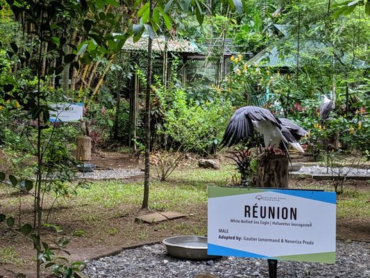 PHILIPPINE EAGLE CENTER - Updated July 2025 - Baguio District, Davao ...
