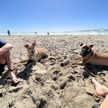 KEHOE BEACH - Updated October 2025 - 107 Photos & 35 Reviews - Point ...