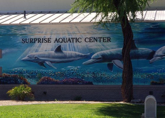 SURPRISE AQUATIC CENTER - Updated January 2026 - 17 Photos & 25 Real ...