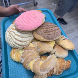 ROTELLA’S ITALIAN BAKERY - Updated October 2024 - 16 Photos & 46 ...