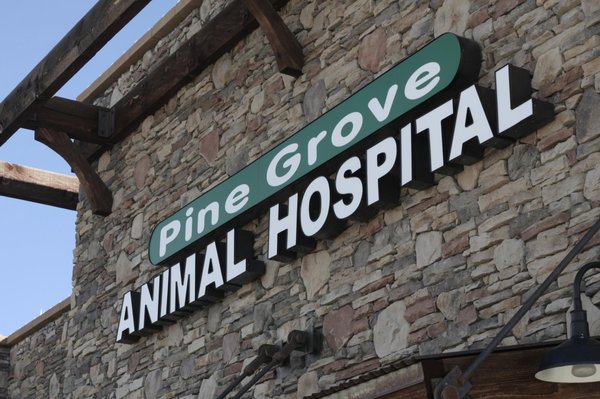 PINE GROVE ANIMAL HOSPITAL - Updated October 2025 - 44 Reviews - 18320 ...