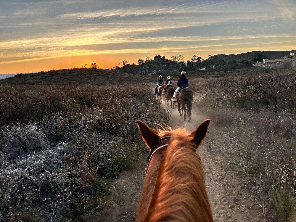 SUSIE Q RANCH - Updated May 2024 - 212 Photos & 176 Reviews - 28330 ...