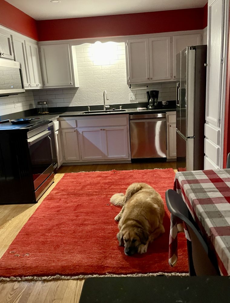 ORIENTAL RUG GALLERY - Updated January 2026 - 29 Photos & 17 Reviews ...