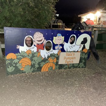 VALA’S PUMPKIN PATCH - Updated September 2025 - 381 Photos & 179 ...