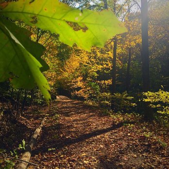 DUFF PARK - Updated December 2025 - 45 Photos & 11 Reviews - 4500 ...