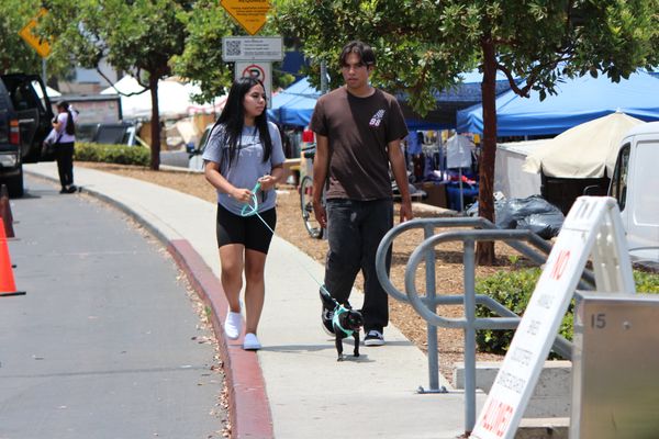 CYPRESS SWAP MEET - Updated August 2025 - 228 Photos & 179 Reviews ...