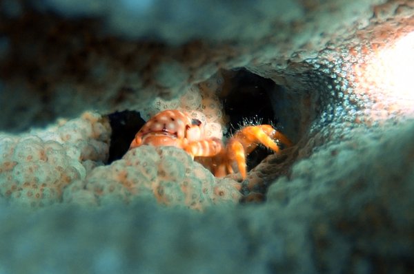 POINT PANIC BEACH PARK - 407 Photos & 24 Reviews - 102 Ohe St, Honolulu ...