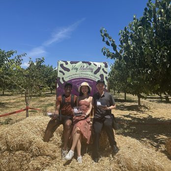 VERY MULBERRY - TEMP. CLOSED - Updated August 2024 - 213 Photos & 39 ...