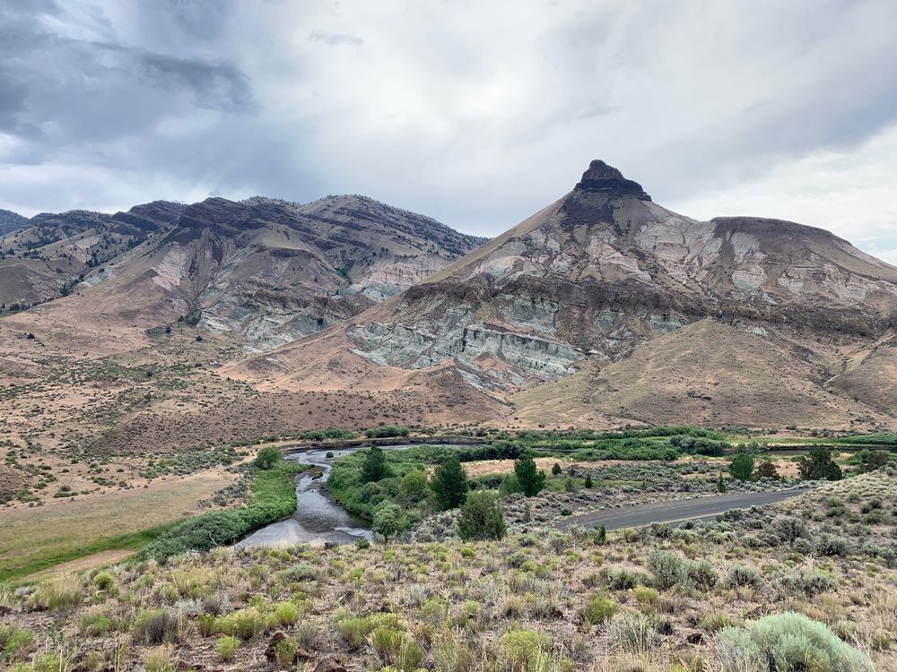 THOMAS CONDON PALEONTOLOGY MUSEUM - 17 Photos - 32651 Hwy 19, Kimberly ...