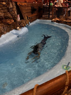 PIRATE’S TABLE CALABASH SEAFOOD BUFFET - Updated July 2024 - 227 Photos ...