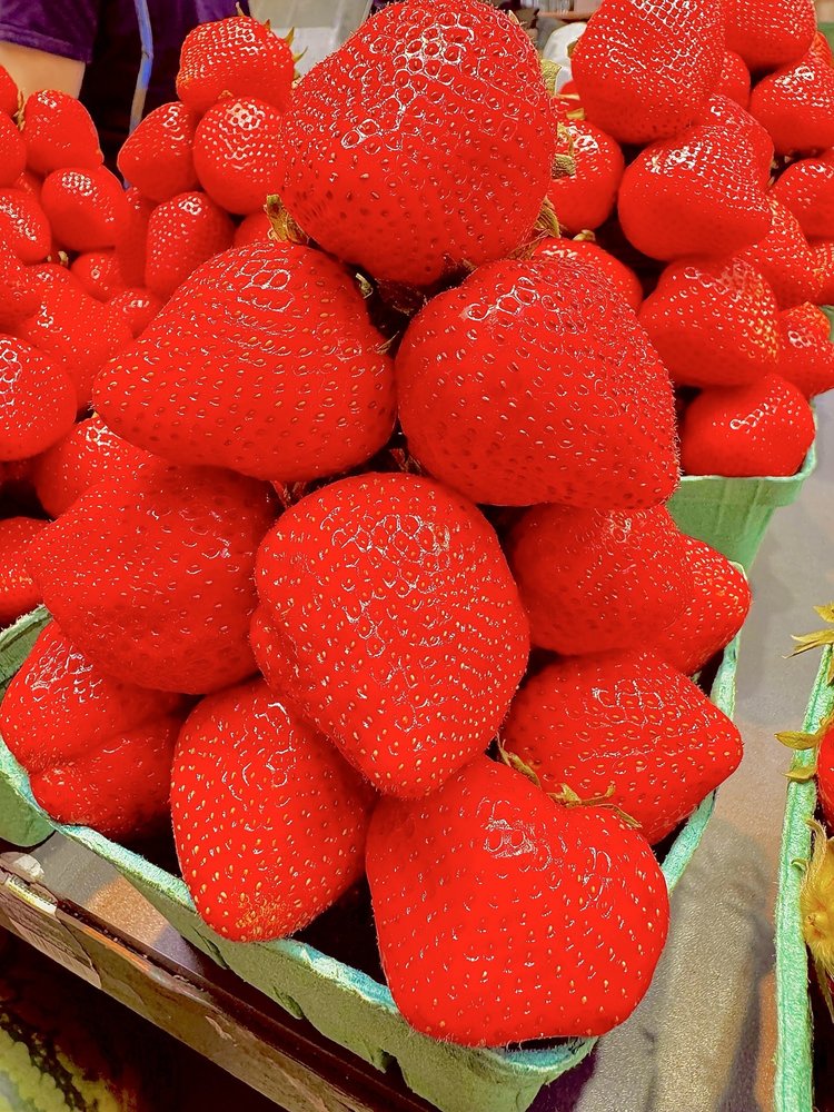 SUNLIGHT FARMS - Updated September 2025 - 12 Photos & 11 Reviews - 1689 ...