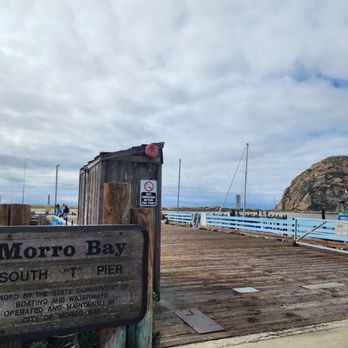 MORRO BAY T PIER SEA OTTER VIEWING AREA - Updated October 2025 - 41 ...