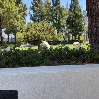 CAFE ROSE EXPRESS - Updated July 2024 - 261 Photos & 241 Reviews - 1570 ...