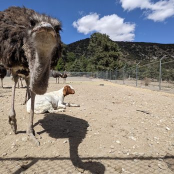 QUAIL RUN RANCH - Updated March 2025 - 125 Photos & 46 Reviews - 44380 ...