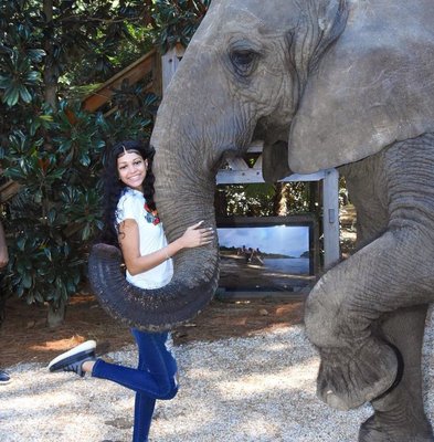 MYRTLE BEACH SAFARI - 65 Photos & 10 Reviews - Zoos - 851 Folly Ranch ...